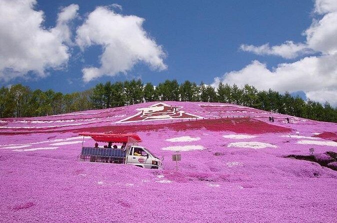 Experience Shibazakura and Kamiyubetsu Tulips in 2 days - The Sum Up: Is It Worth It?