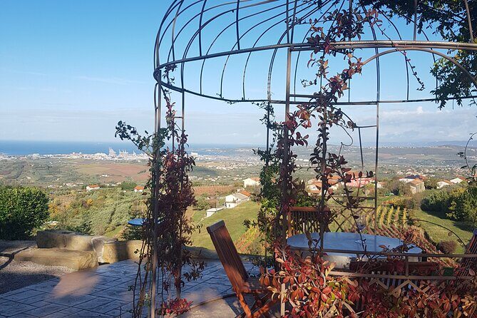 Experience Slovenian Coast line with Wine Tasting from Trieste - Final Thoughts