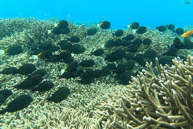 Experience Snorkeling in Sanur - Final Thoughts