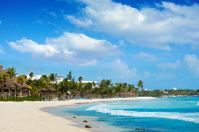 Experience swimming with turtles and explore the ruins of Tulum. Lunch included. - Pricing and Value Analysis