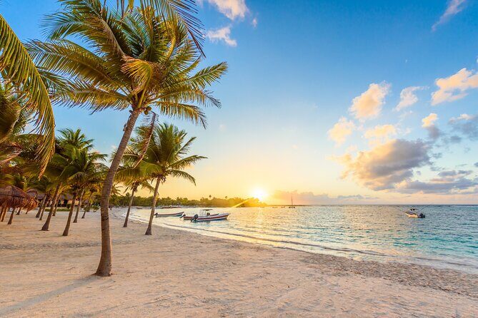 Experience swimming with turtles and explore the ruins of Tulum. Lunch included. - Who Should Consider This Tour?