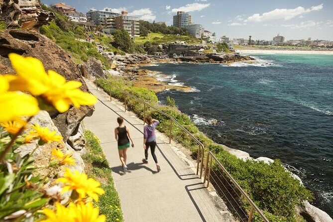 Experience Sydney's Best Beaches: Private Tour - Exploring Sydney’s Beaches: What to Expect