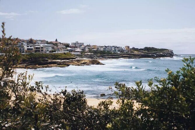 Experience Sydney's Best Beaches: Private Tour - The Sum Up