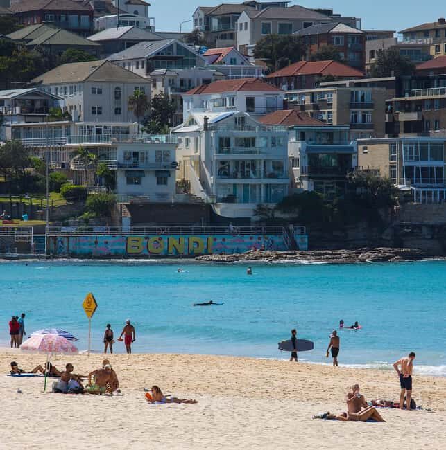 Experience Sydney's Best Beaches: Private Tour - Pricing & Value Considerations
