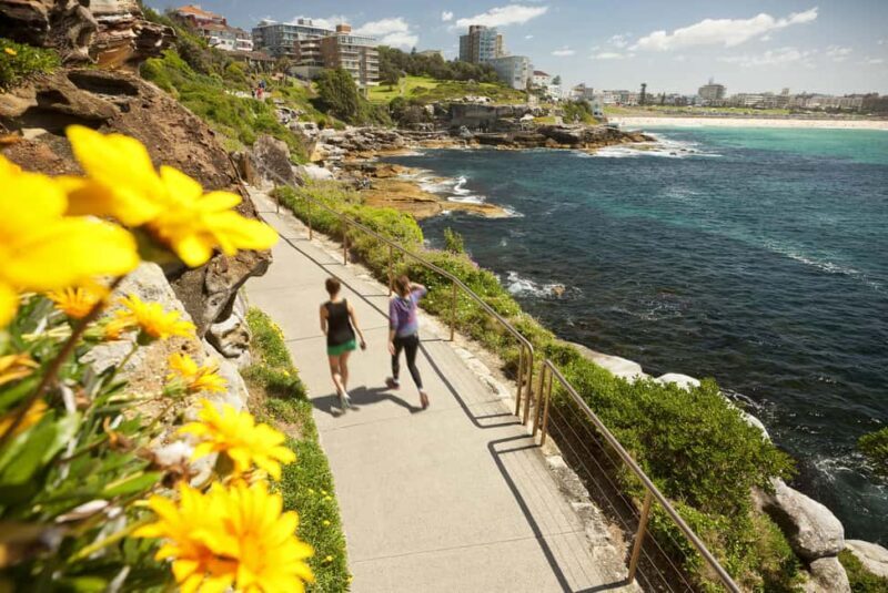 Experience Sydney's Best Beaches: Private Tour - Final Thoughts: Who is this tour best suited for?
