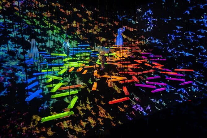 Experience TeamLab Planets in Tokyo - Physical and Emotional Experience