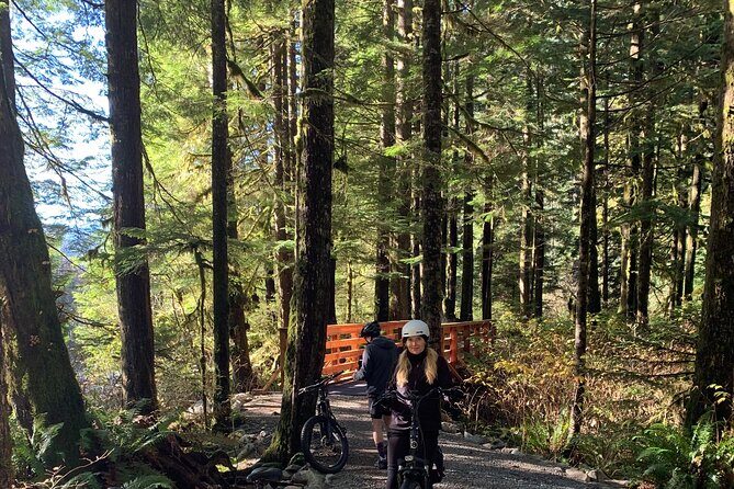 Experience the Beauty of Vancouvers Forests by Bike/E-Bike - The Picnic Lunch with a View