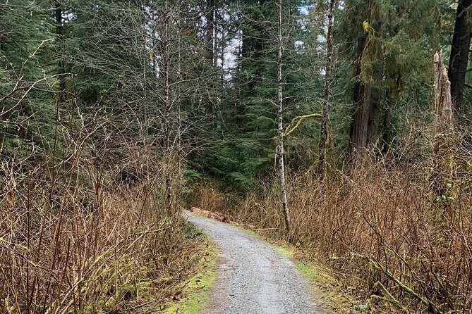 Experience the Beauty of Vancouvers Forests by Bike/E-Bike - Small Group, Personalized Feel