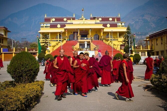 Experience the Best of Dharamshala with a local - Private 8 Hrs Tour in AC Car - The Sum Up