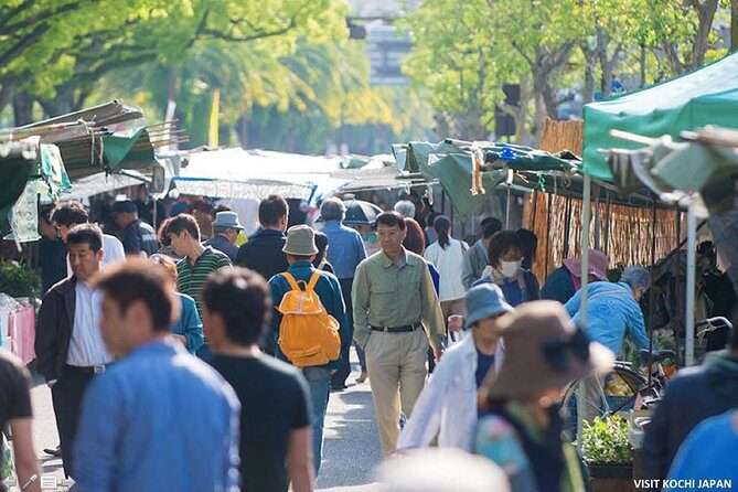 Experience the energy of Kochi: Sunday Market Tour includes Kochi Castle - Practical Considerations and Value