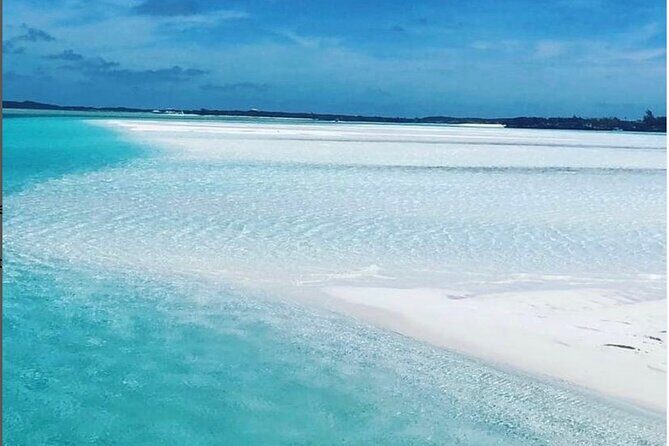 Experience The Exumas and the World Famous Swimming Pigs - Is This Tour Worth the Price?