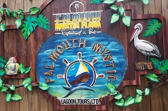 Experience the Glistening Waters of Luminous Lagoon in Falmouth - FAQs