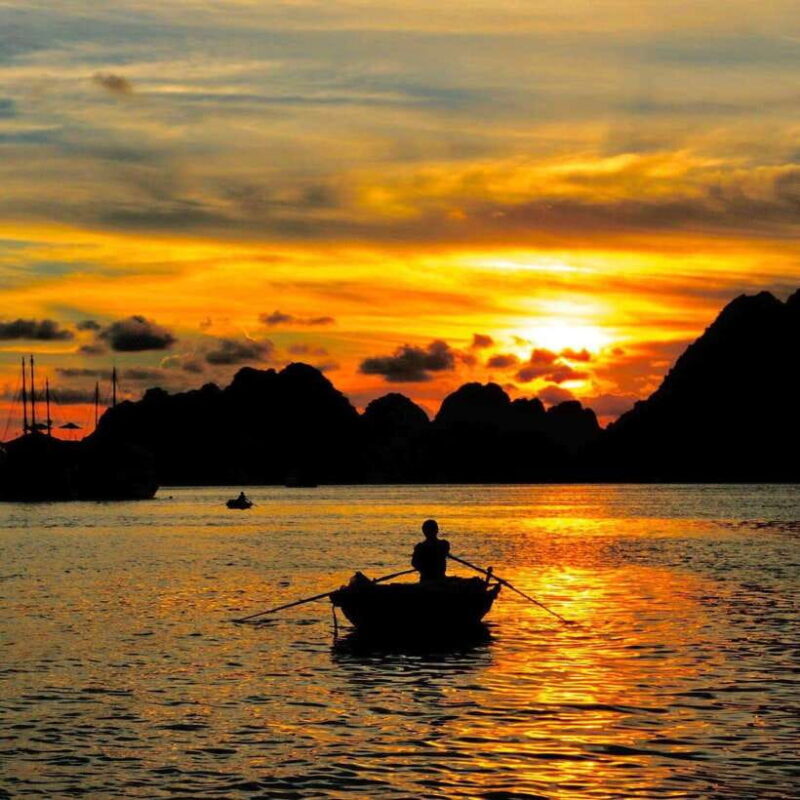 Experience the Magic: Night with Glowing Plankton - An Introduction to the Experience