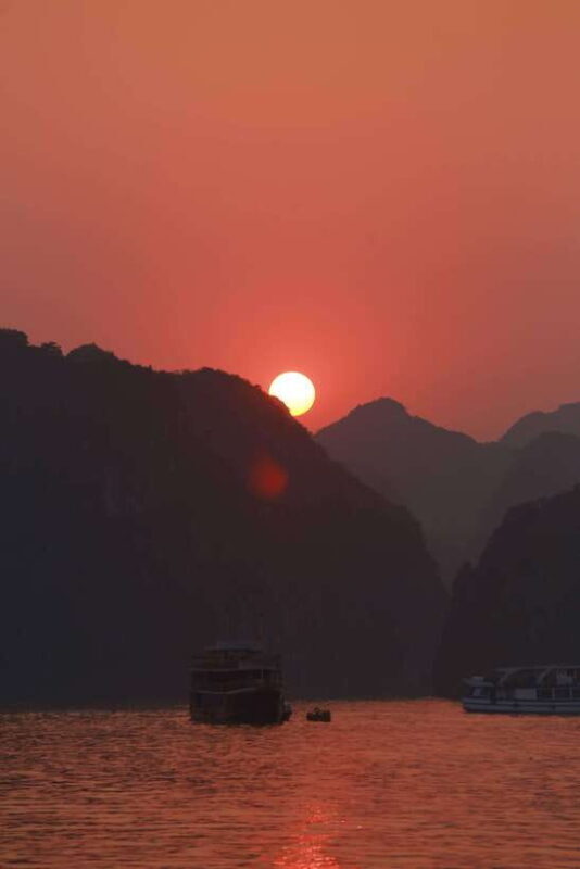 Experience the Magic: Night with Glowing Plankton - The Value of the Experience