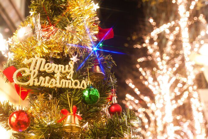 Experience the Magic of Christmas in Tokyo - Whats Included and What to Expect