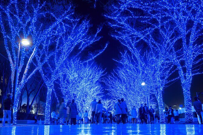 Experience the Magic of Christmas in Tokyo - Is This Tour Worth It?