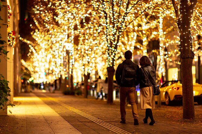 Experience the Magic of Christmas in Tokyo - Who Will Love This Tour?