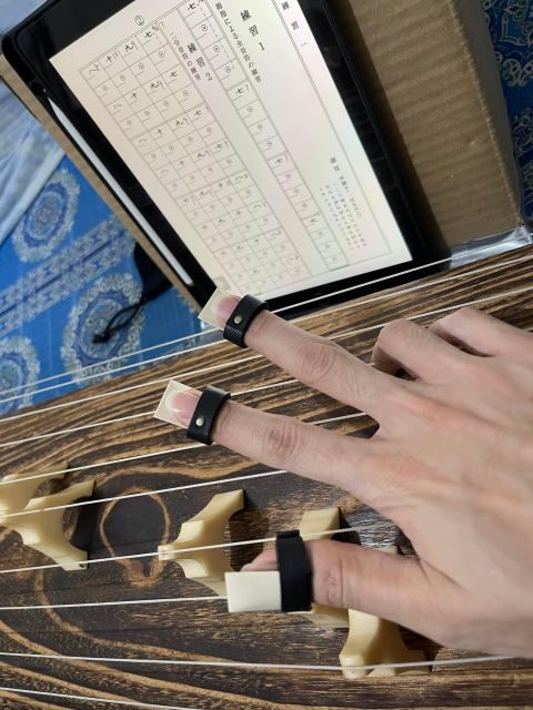 Experience the Soul of Hiroshima: A Peaceful Koto Workshop - A Deeply Moving Cultural Experience