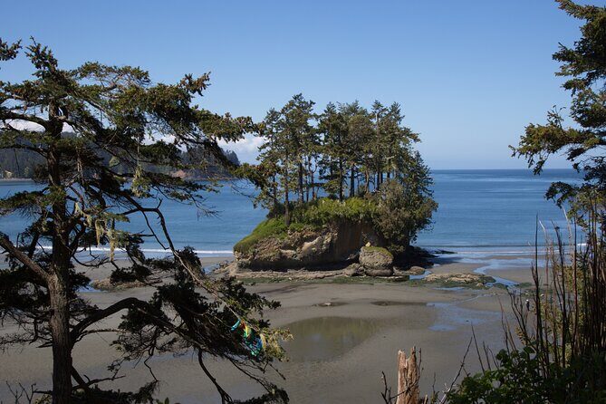 Experience the Spectacular Beauty of the Olympic Peninsula - Starting in Seattle: The Ferry Ride and Iconic Views