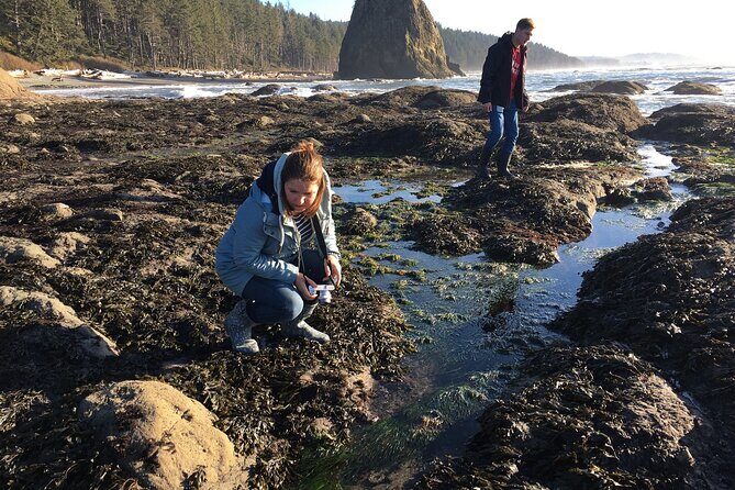 Experience the Spectacular Beauty of the Olympic Peninsula - Tide Pool Exploration at Salt Creek Recreation Area