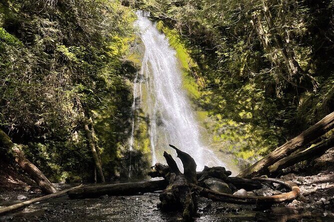 Experience the Spectacular Beauty of the Olympic Peninsula - Final Stop at Lake Crescent: A Glacier-Carved Oasis