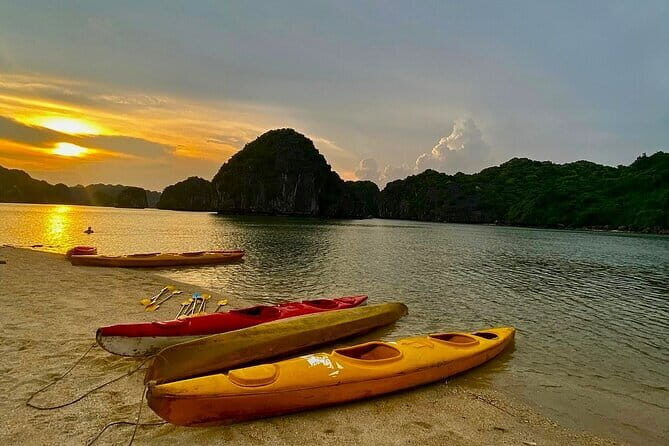 Experience the Sunset and Plankton Bioluminescent Night Kayak - Analyzing the Value: Is the Tour Worth It?