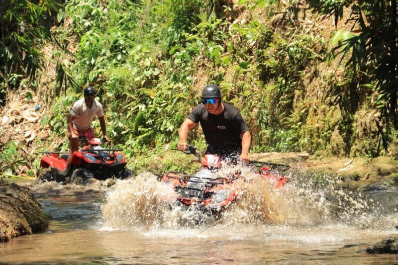 Experience the Ultimate Adventure with Bali Tarantula ATV - A Closer Look at the Bali Tarantula ATV Tour