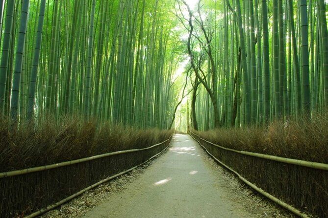 Experience the Wonders of Japan in One Day - Key Points