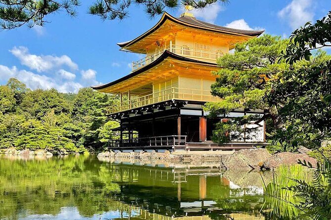 Experience the Wonders of Japan in One Day - Who Should Consider This Tour?