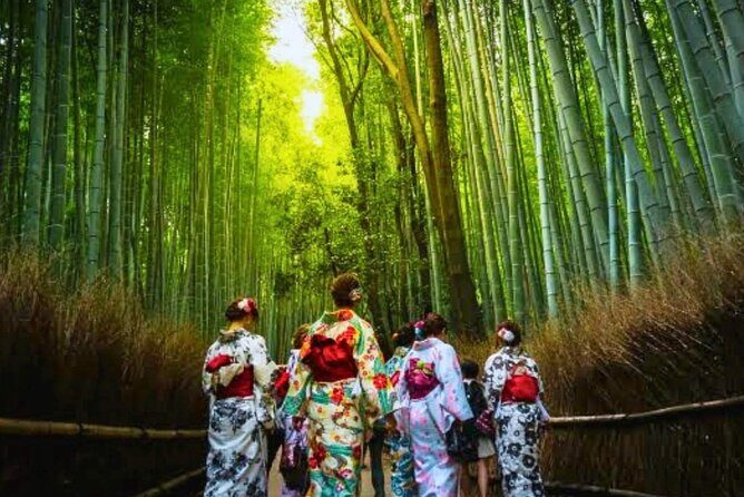 Experience the Wonders of Japan in One Day - The Sum Up