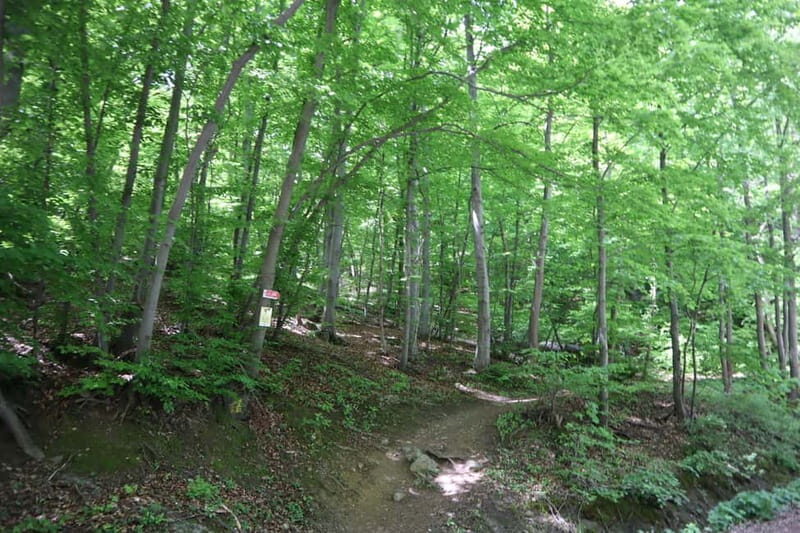 Experience Vitosha Mountain, a private hiking tour - Key Points