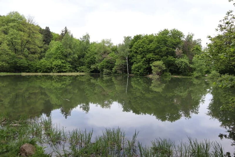 Experience Vitosha Mountain, a private hiking tour - Accessibility and Practical Details