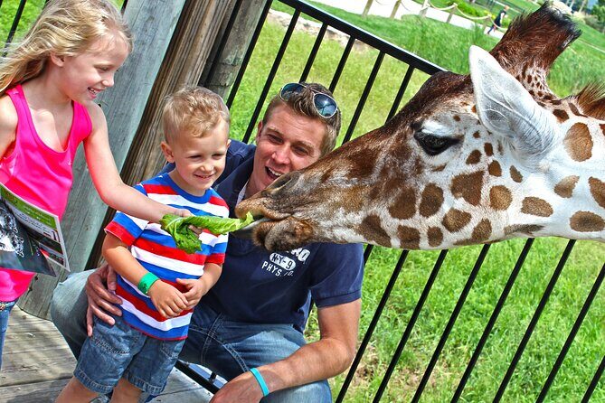 Experience Weekend at Tanganyika Wildlife Park - Final Thoughts: Is It Worth It?