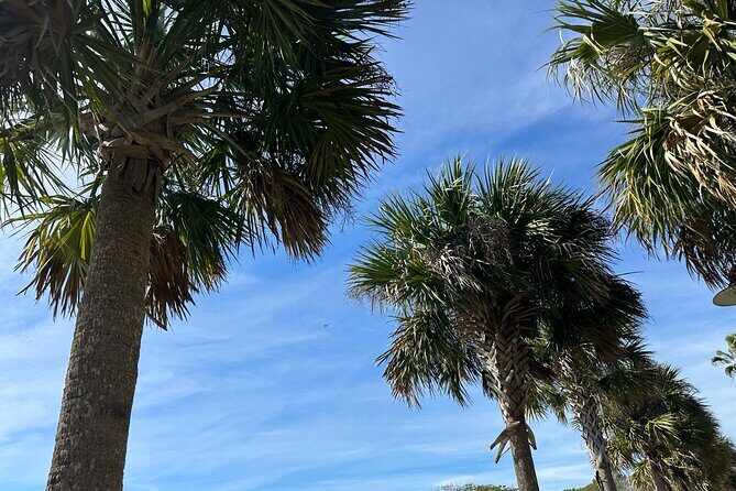 Experience Wild Florida Nature Up Close on Electric Trike (2 hrs) - A Close-Up Look at the Electric Trike Tour