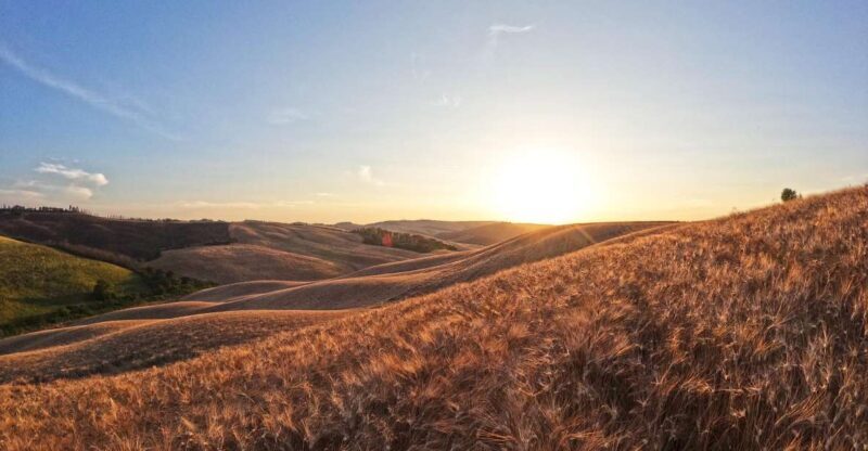 Experience with birds of prey in Tuscany - Key Points