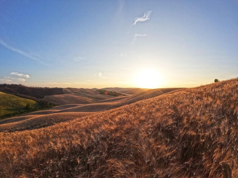 Experience with birds of prey in Tuscany - A Closer Look at the Experience