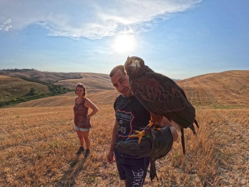 Experience with birds of prey in Tuscany - FAQ