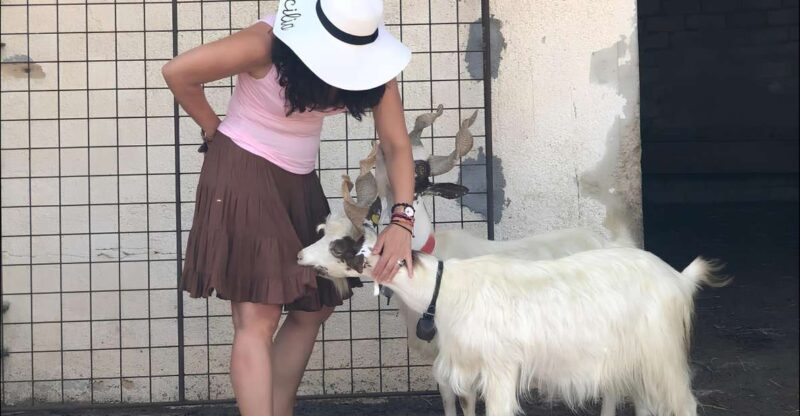 Experience with Girgentan goats in Agrigento - A Deeper Look at the Experience