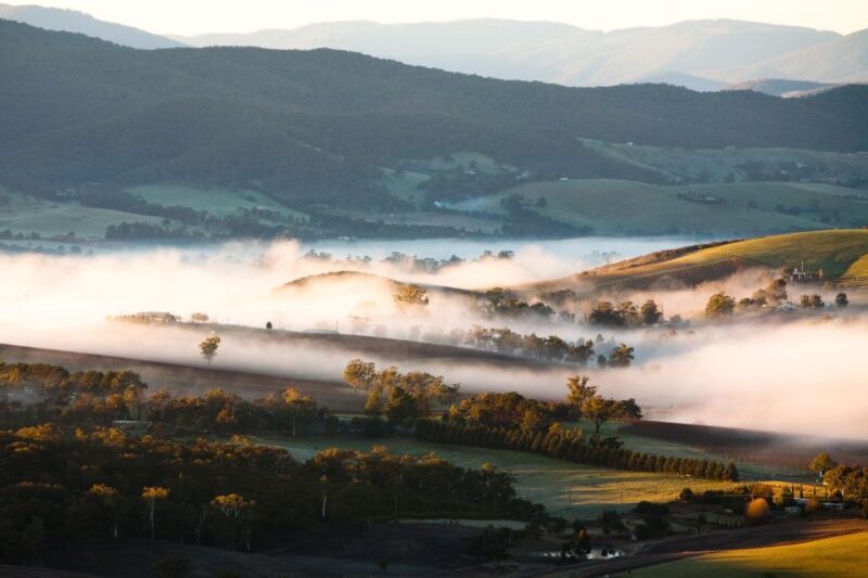 Experience Yarra Valley: A Tailored private Wine Journey - Authenticity and Guest Experience
