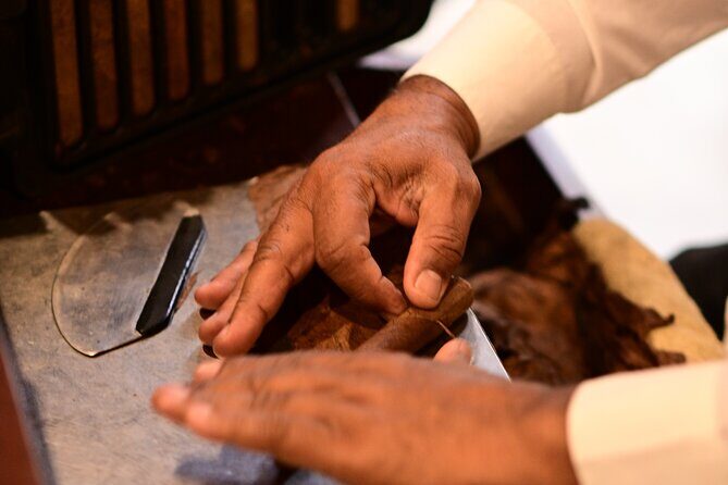 Experiencia de cata de puros con maridaje exclusivo - Key Points