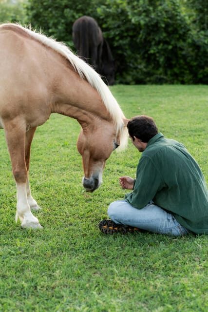 Experiential activity with horses: an experience in connection - Who should consider this experience