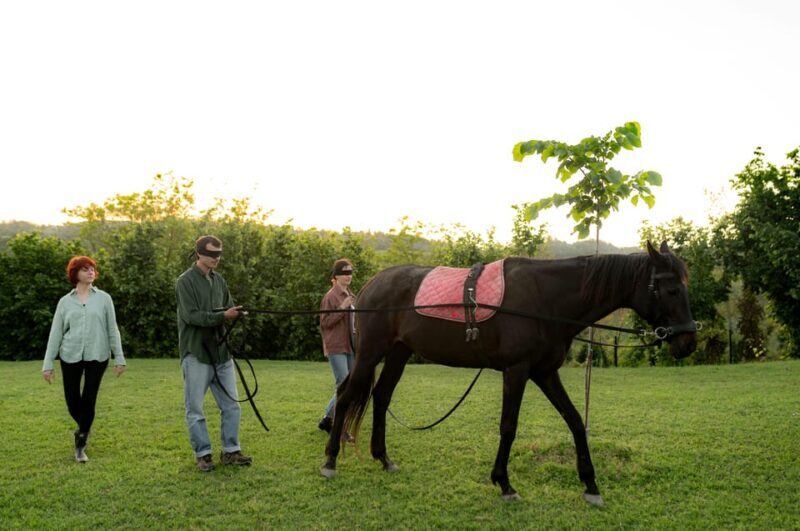 Experiential activity with horses: an experience in connection - Final words