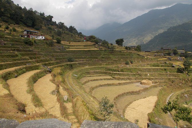 Experiential Career Break trip to Nepal for Gap year and Sabbatical travelers - An In-Depth Look at the Experience