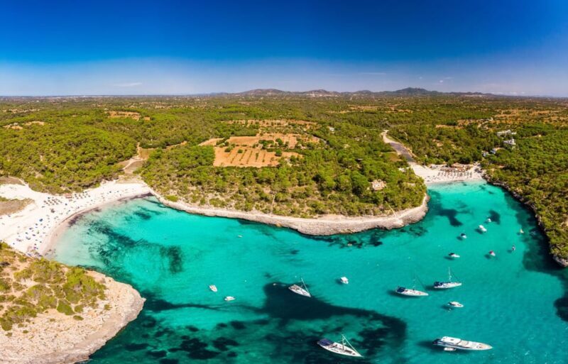 Experinence in Mondrago /S'amarador / Trencada Snorkel y SUP - Introduction