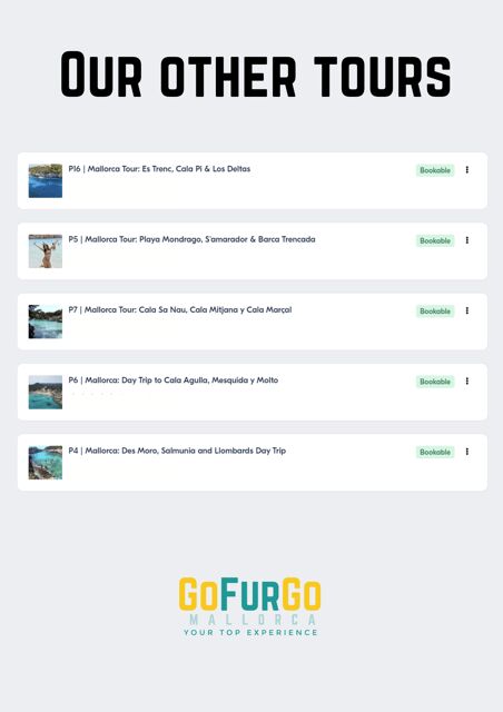 Experinence in Mondrago /S'amarador / Trencada Snorkel y SUP - Water Activities: Snorkeling and Paddleboarding