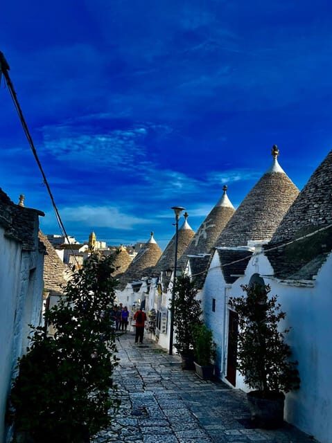 Expert Guided Tour & Tasting, Alberobello - Who Will Love This Tour?