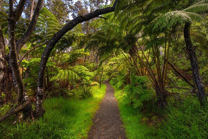 Expert Led Private Guided Tour Hawaii Volcanoes National Park - Detailed Breakdown of the Itinerary