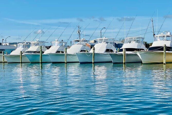 Exploration of Majestic Crystal Coast - A Closer Look at the Tour: What to Expect