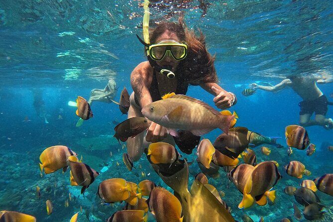 Explore 4 iconic snorkeling spots of Manta Bay in Nusa Penida - Practical Tips for Your Snorkeling Adventure