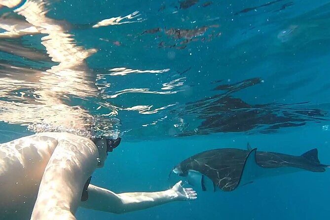 Explore 4 iconic snorkeling spots of Manta Bay in Nusa Penida - The Sum Up: Is This Tour Worth It?